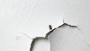 Wall Panel Dinding: 10+ Ide Dekorasi & Tips Memilihnya